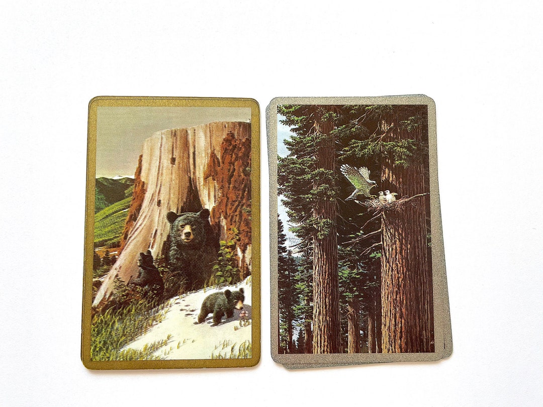 Vintage Forest Playing Cards - Etsy