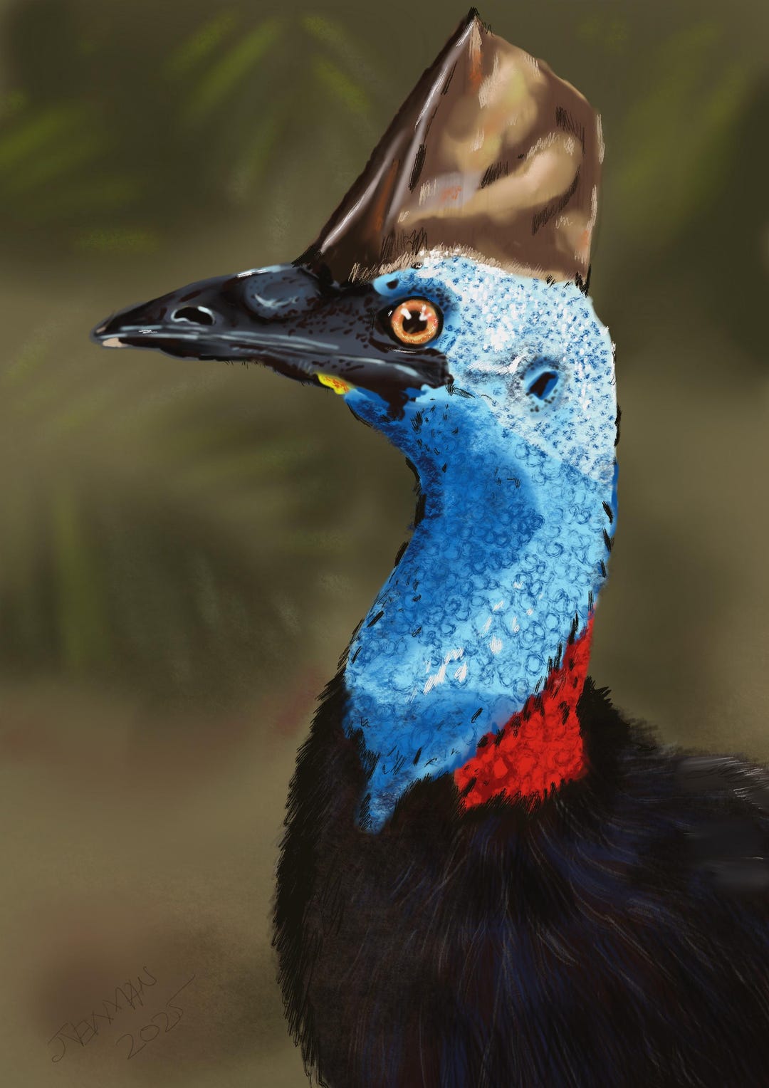 Original Digital Painting of a Cassowary - Etsy