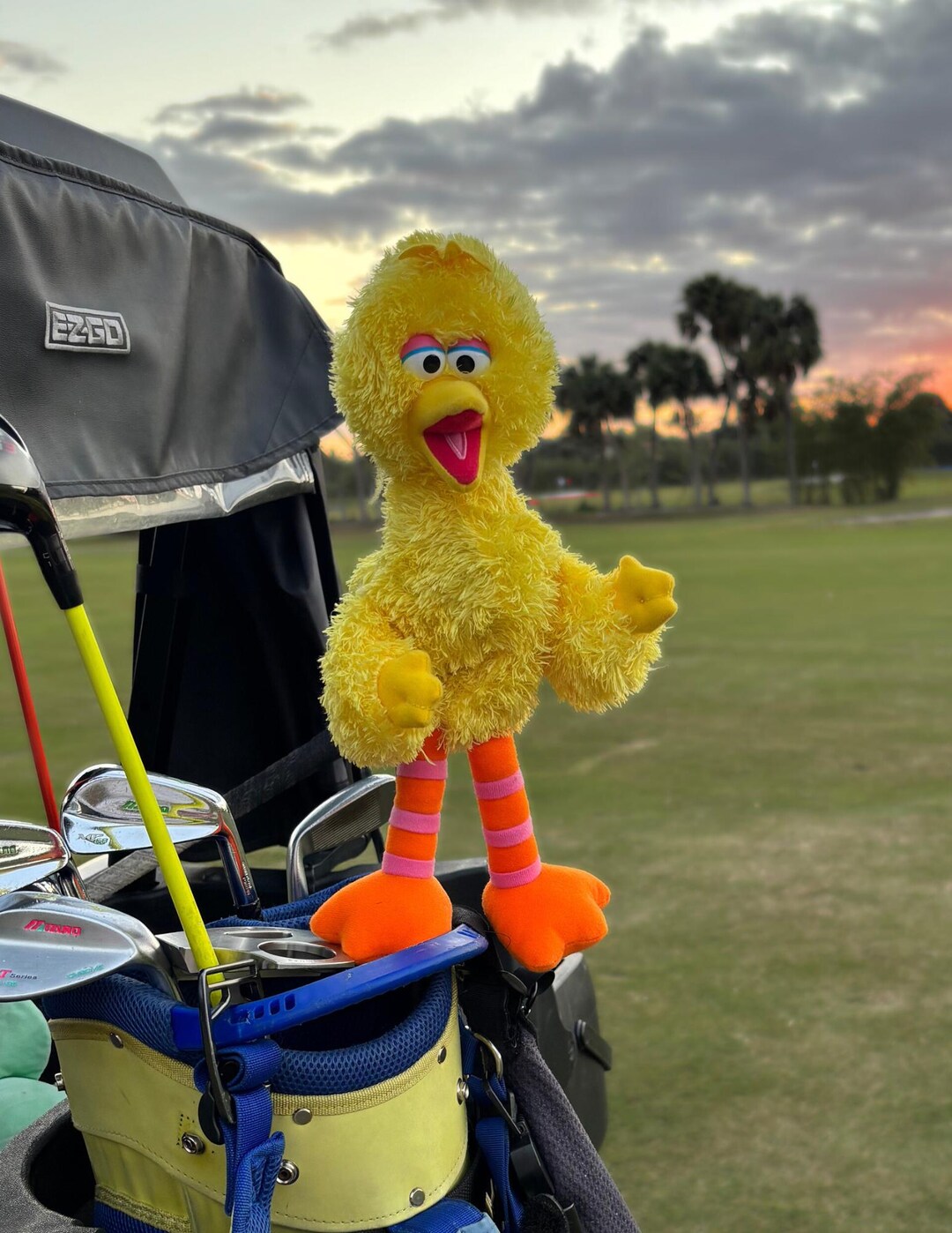 Big Bird Plush Golf Club Headcover Hybrid & Rescue Club Protector - Etsy