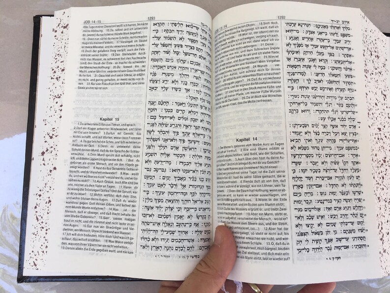 The Holy Bible Hebrew German Jewish Old Testament Tanakh Tanach Chumash ...