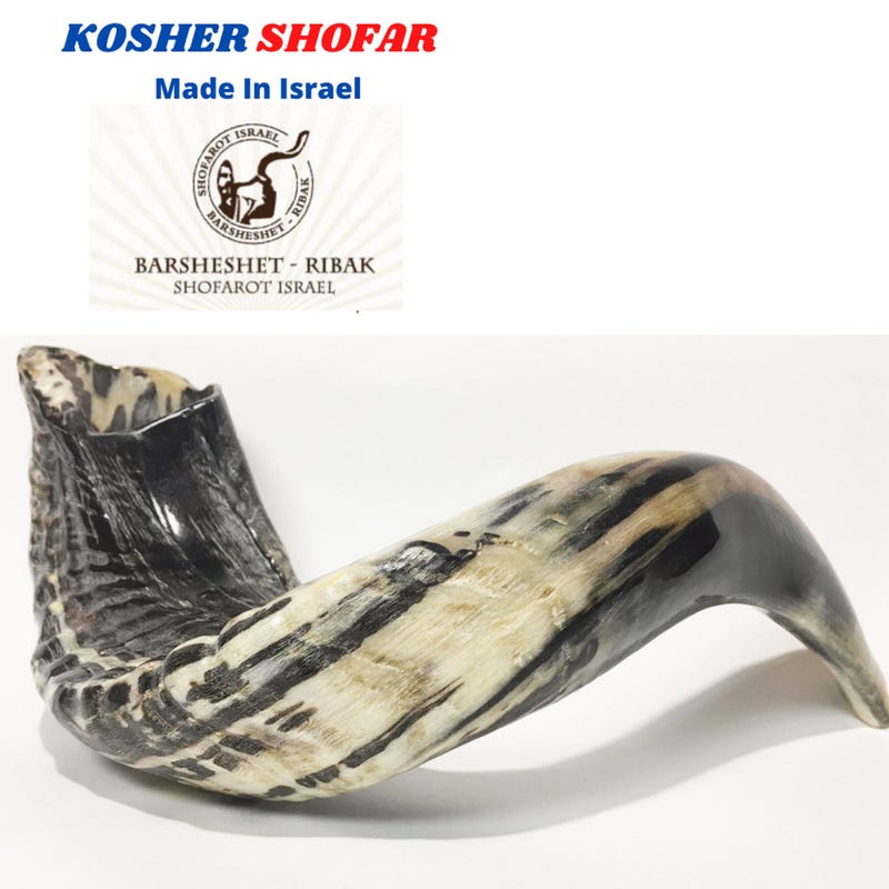 Shofar - Etsy