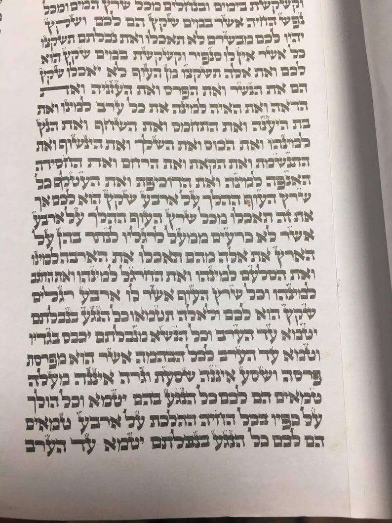 Big Sefer Torah Scroll Book Bible Hebrew&velvet Cover Israel 18.5"\47cm ...