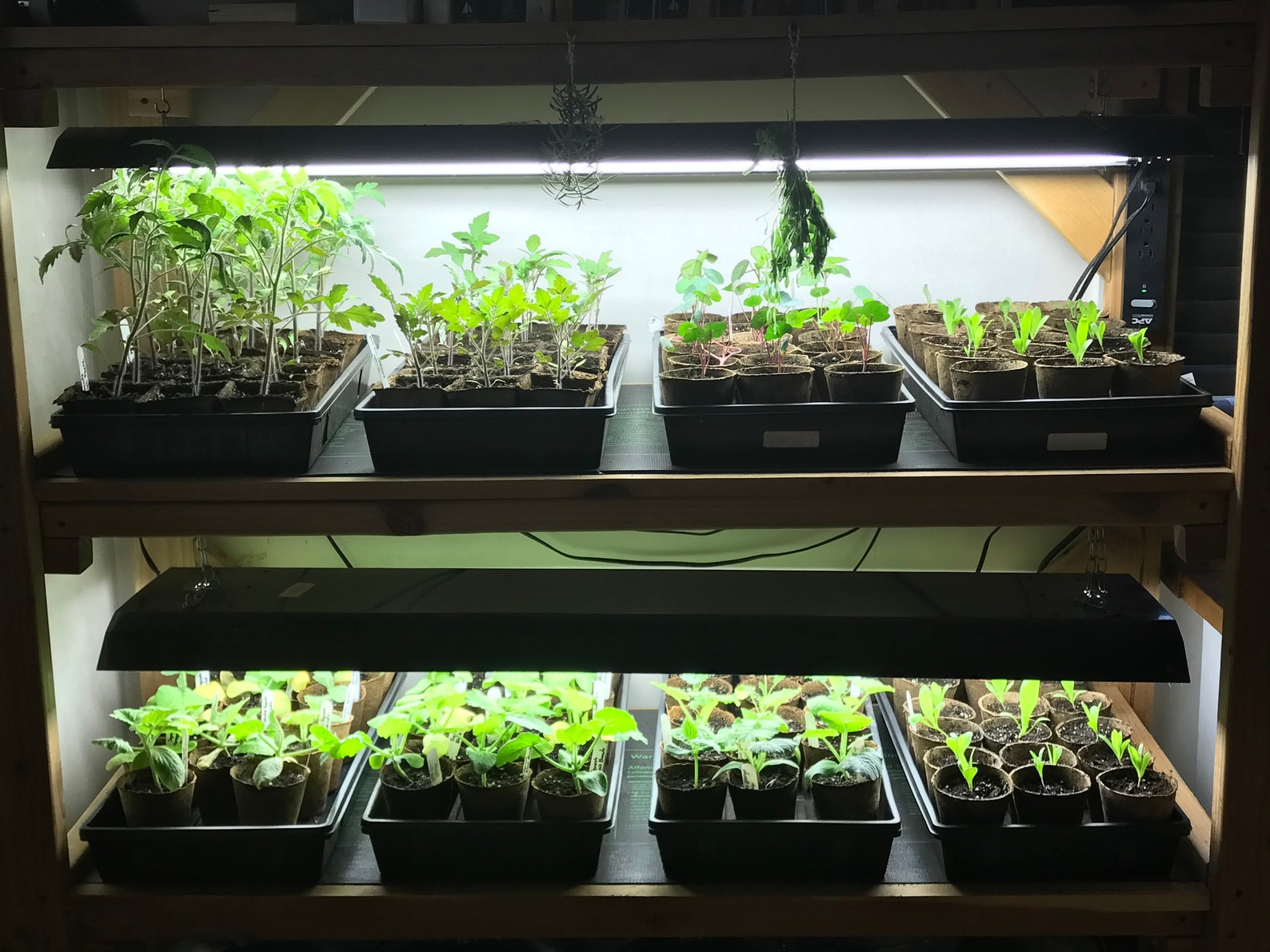 Seed Starting Stand Plans- PDF Version - Etsy