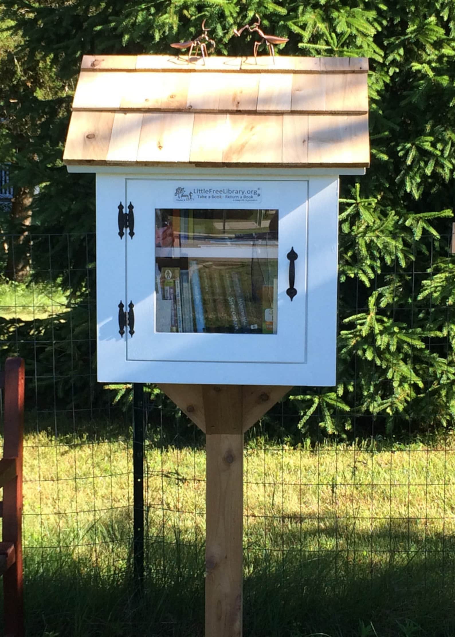 Lending Library Plans Printed Version | Etsy