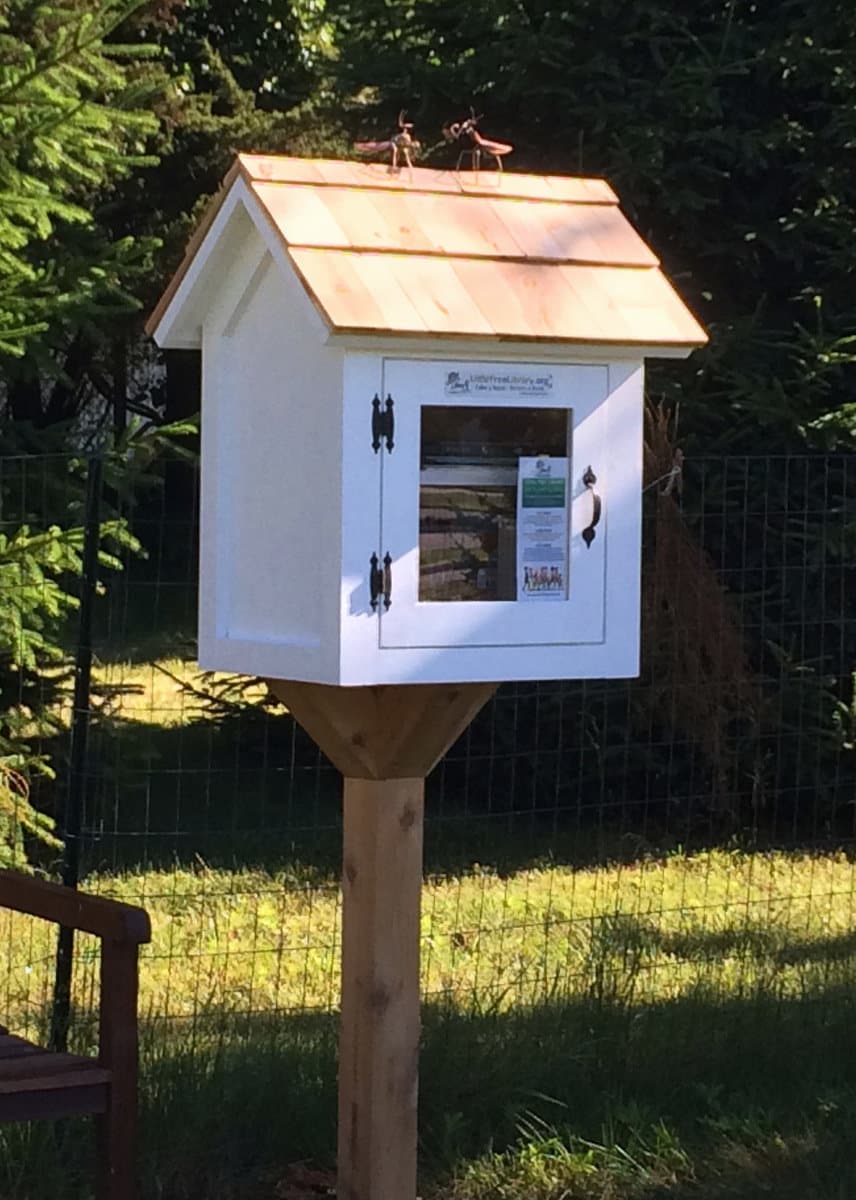 Lending Library Plans PDF Version | Etsy