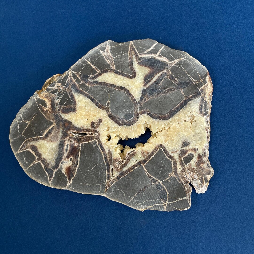 Septarian Geode Slice, Honey Calcite Crystals - Etsy
