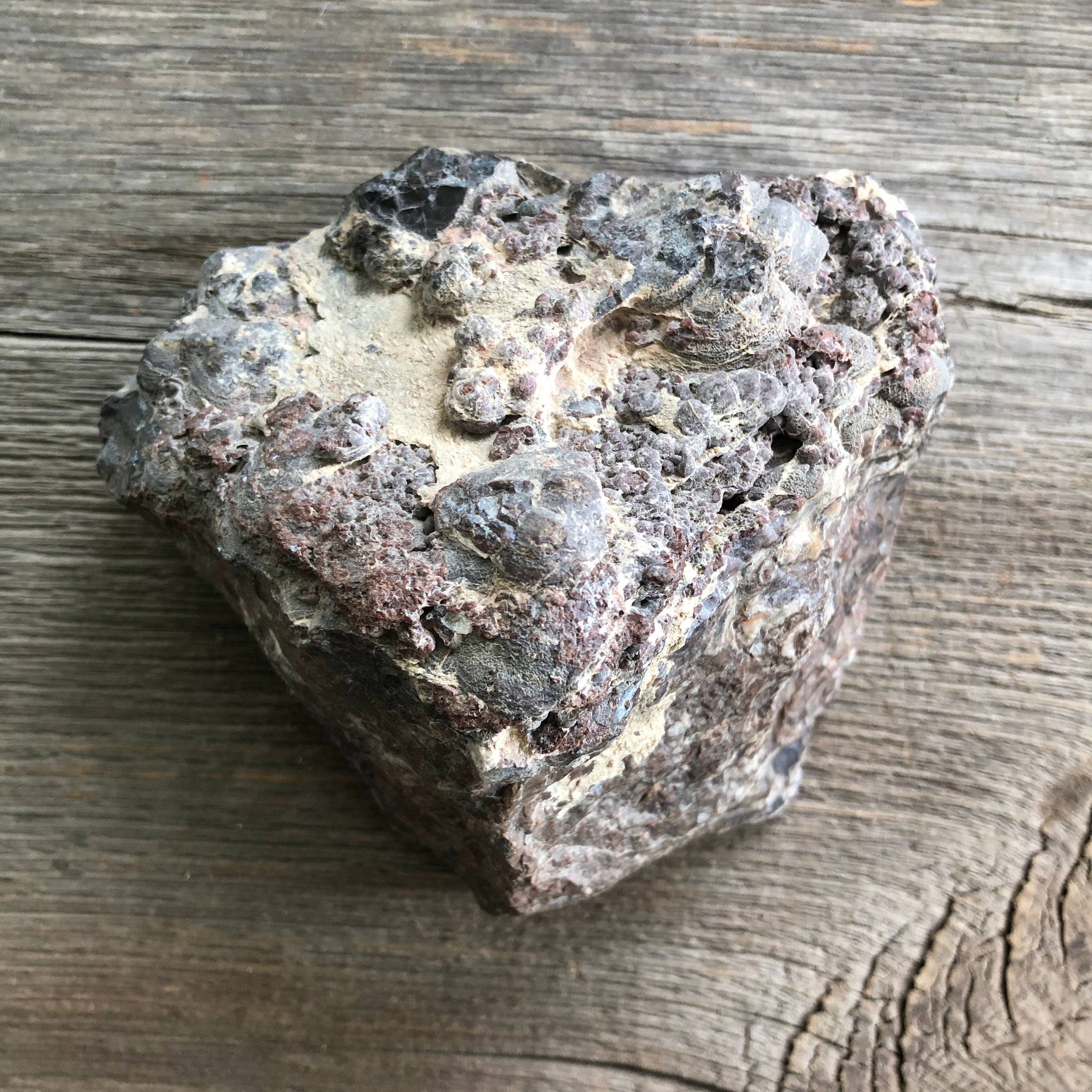 Baker Ranch Thunderegg, Thunderegg, Agate, Geode - Etsy