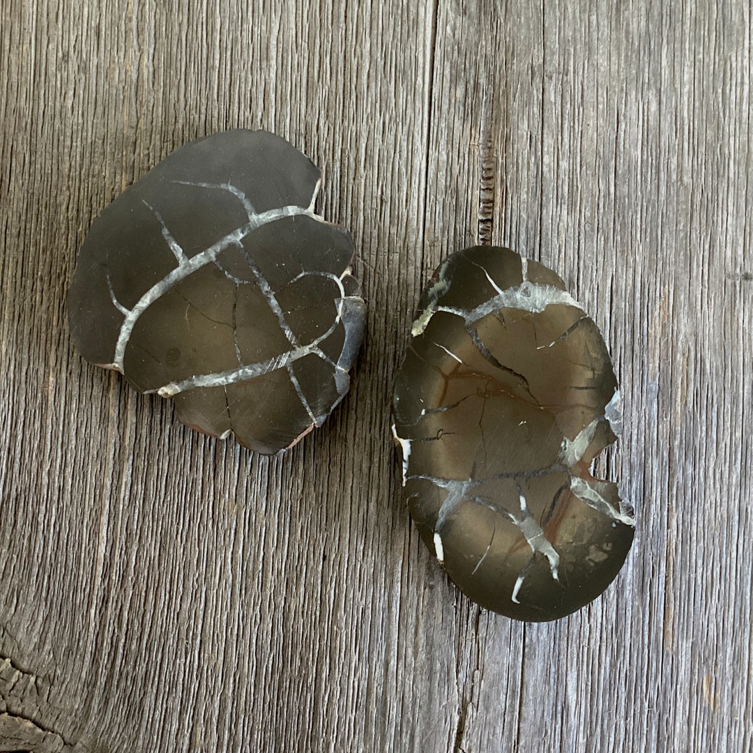 Michigan Lightning Stones, Polished Septarian Nodule, Lightning Stone ...