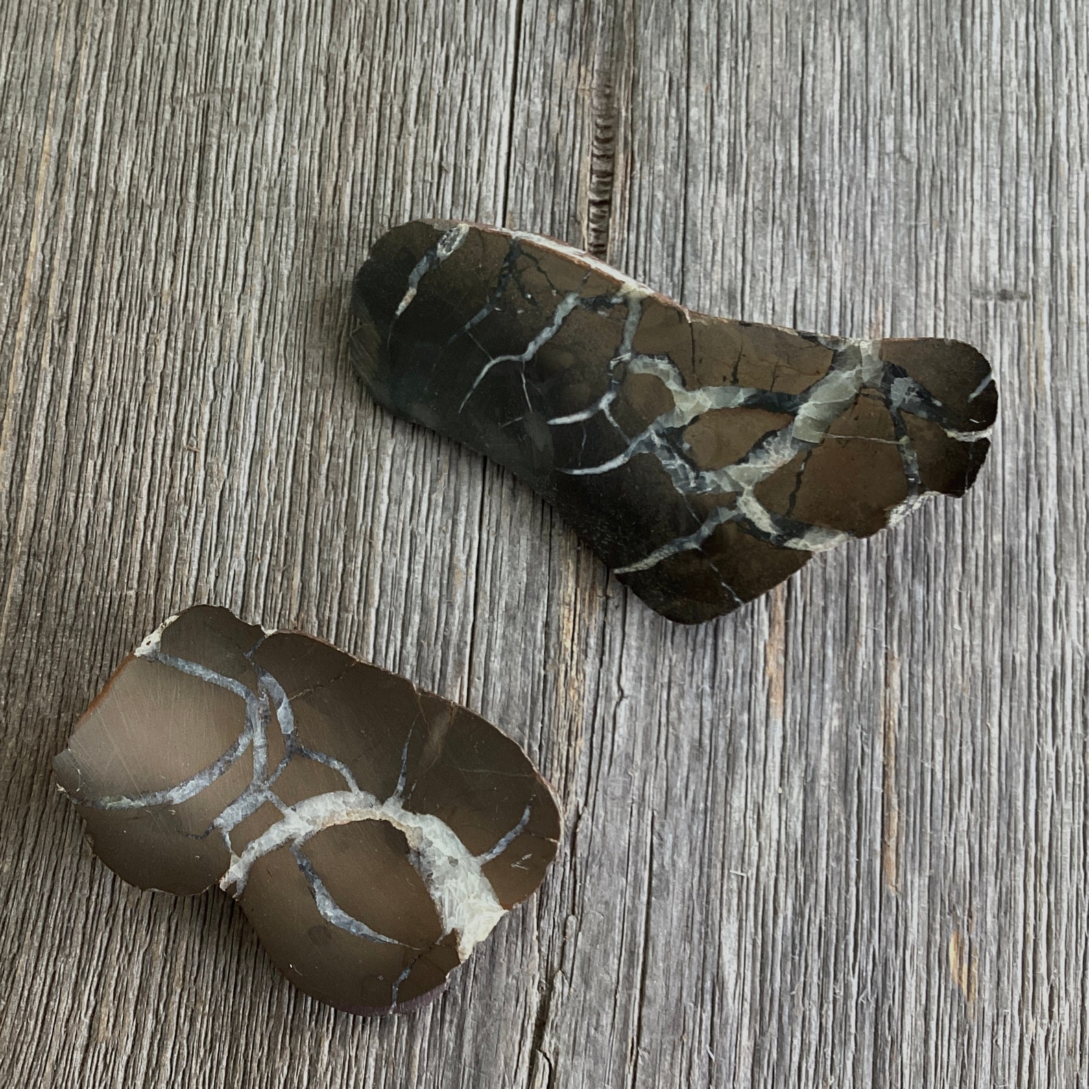 Michigan Lightning Stones, Polished Septarian Nodule, Lightning Stone ...
