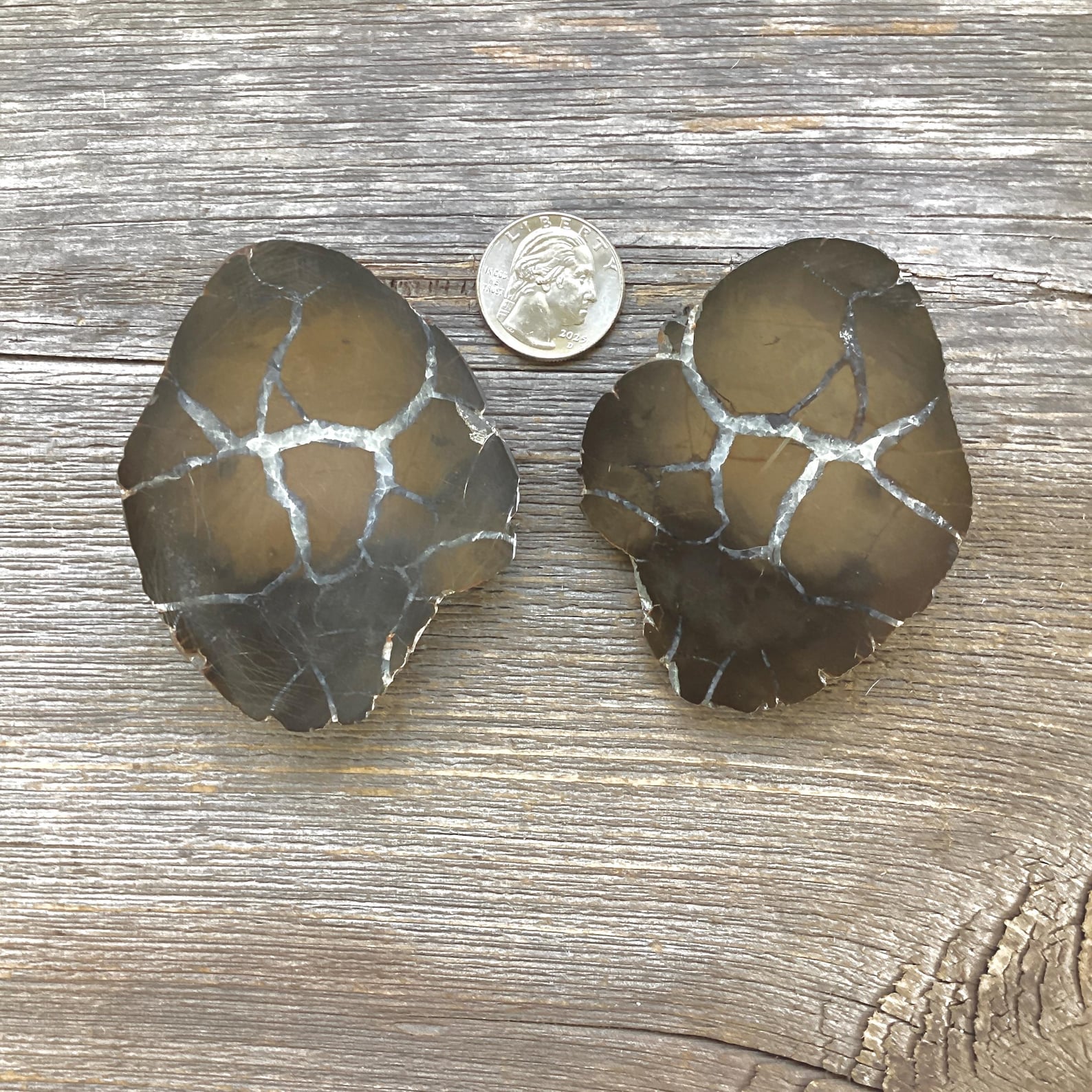 Michigan Lightning Stone Matched Pair, Polished Septarian Nodule ...