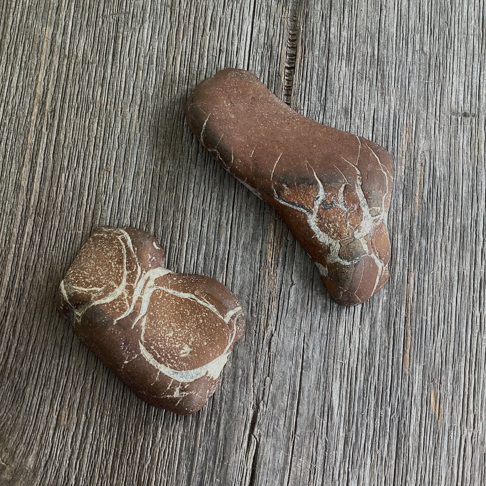 Michigan Lightning Stones, Polished Septarian Nodule, Lightning Stone ...