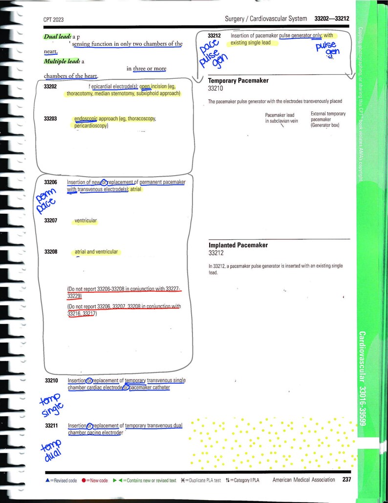 CPT Book Prep: Cardiovascular 30000 Series 2025 - Etsy