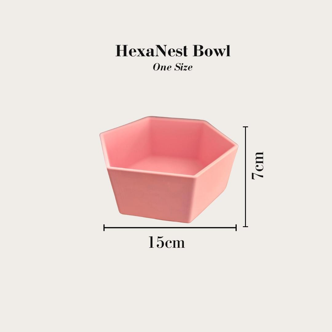Hexanest Bowl – Modern Hexagonal Decorative Bowl for Storage or ...