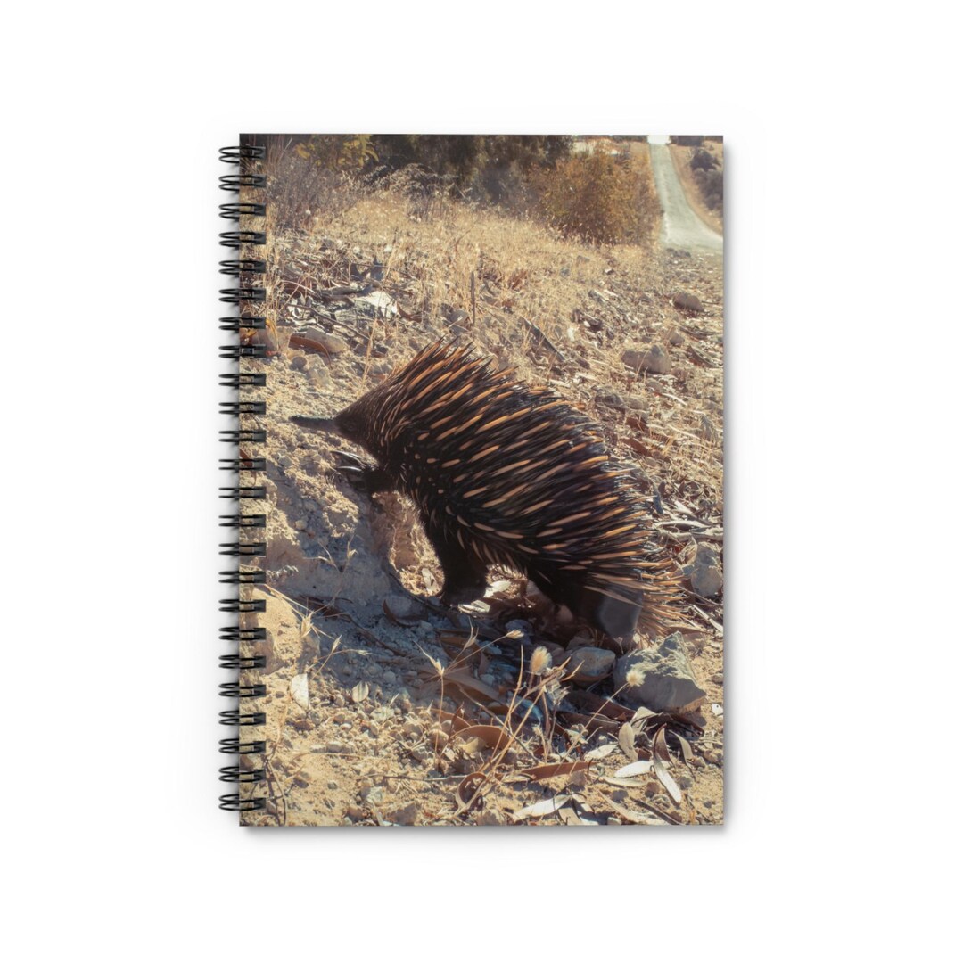 Echidna Spiral Notebook - Nature Lover's Journal, Wildlife Notebook ...