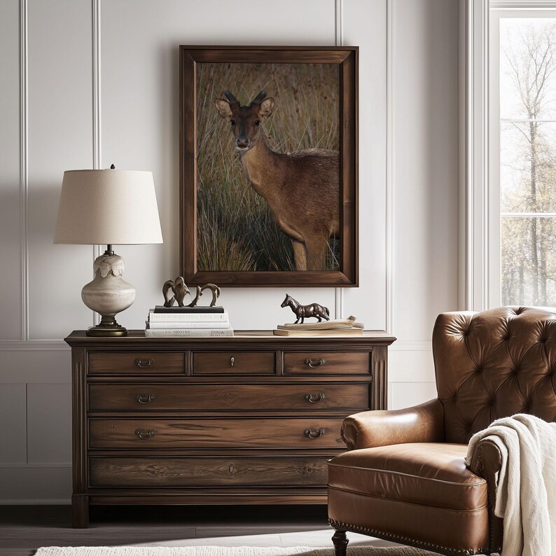 Beautiful Doe Portrait, Young Female Deer in Grassy Field Photography ...