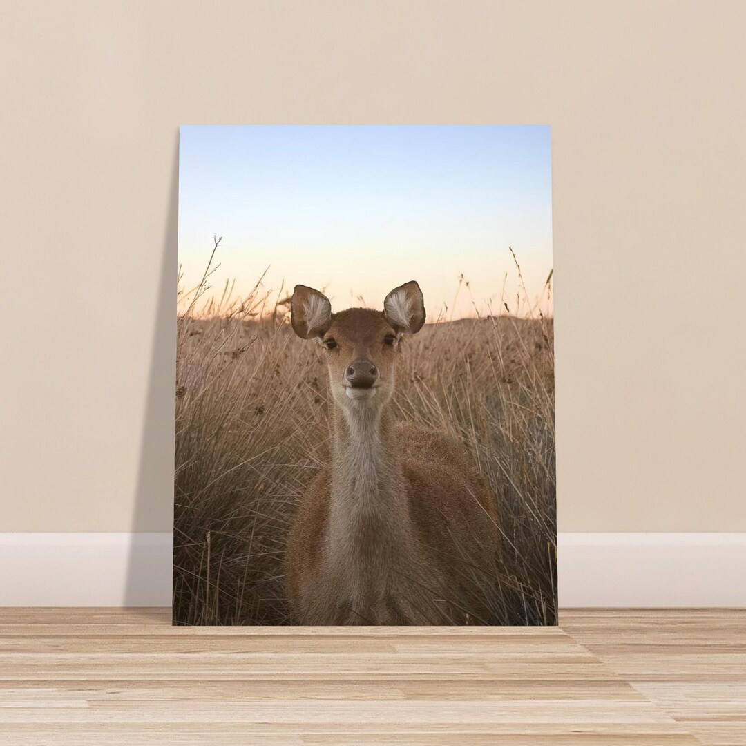 Australian Rusa Deer Portrait Poster - Stunning Semi-gloss Art Print ...