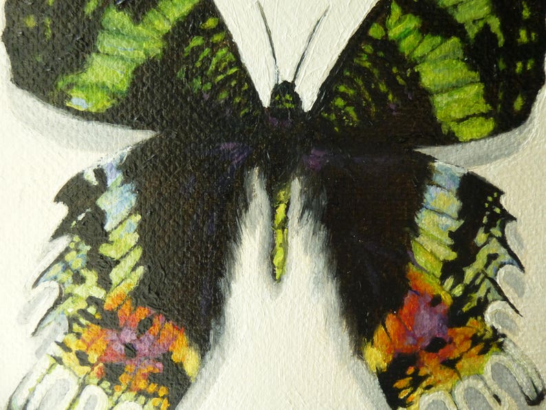 6x6 Sunset Moth Original Painting - Etsy