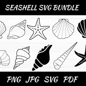 Seashell SVG Bundle: Clipart, Cut Files, Silhouette (digital Download ...