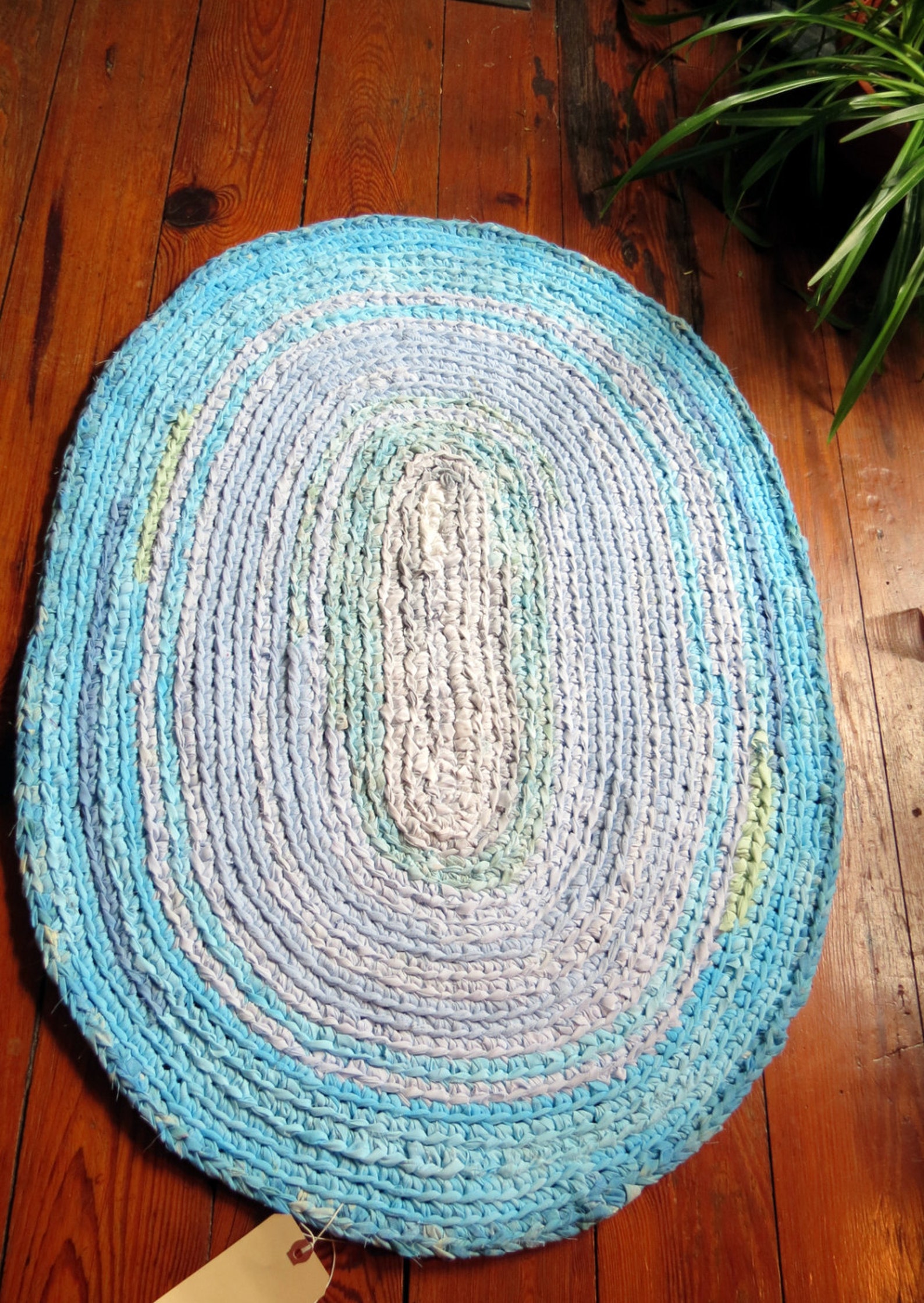 Baby Blue Braided Rug at Sandie Ambler blog