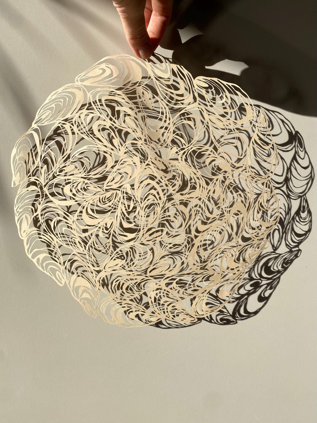 Handmade Papercut Art, Organic Circular Mussel Shells, Minimalist Beige ...