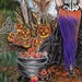 11 X 14 Queen of Halloween Limited Edition Print - Etsy