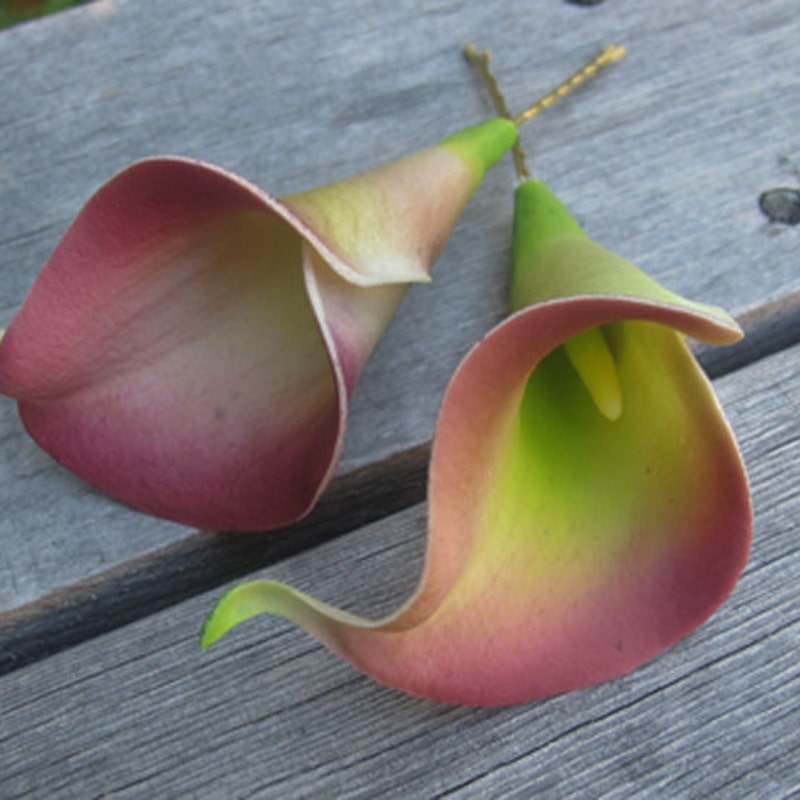 Plum Calla Lilies - Etsy