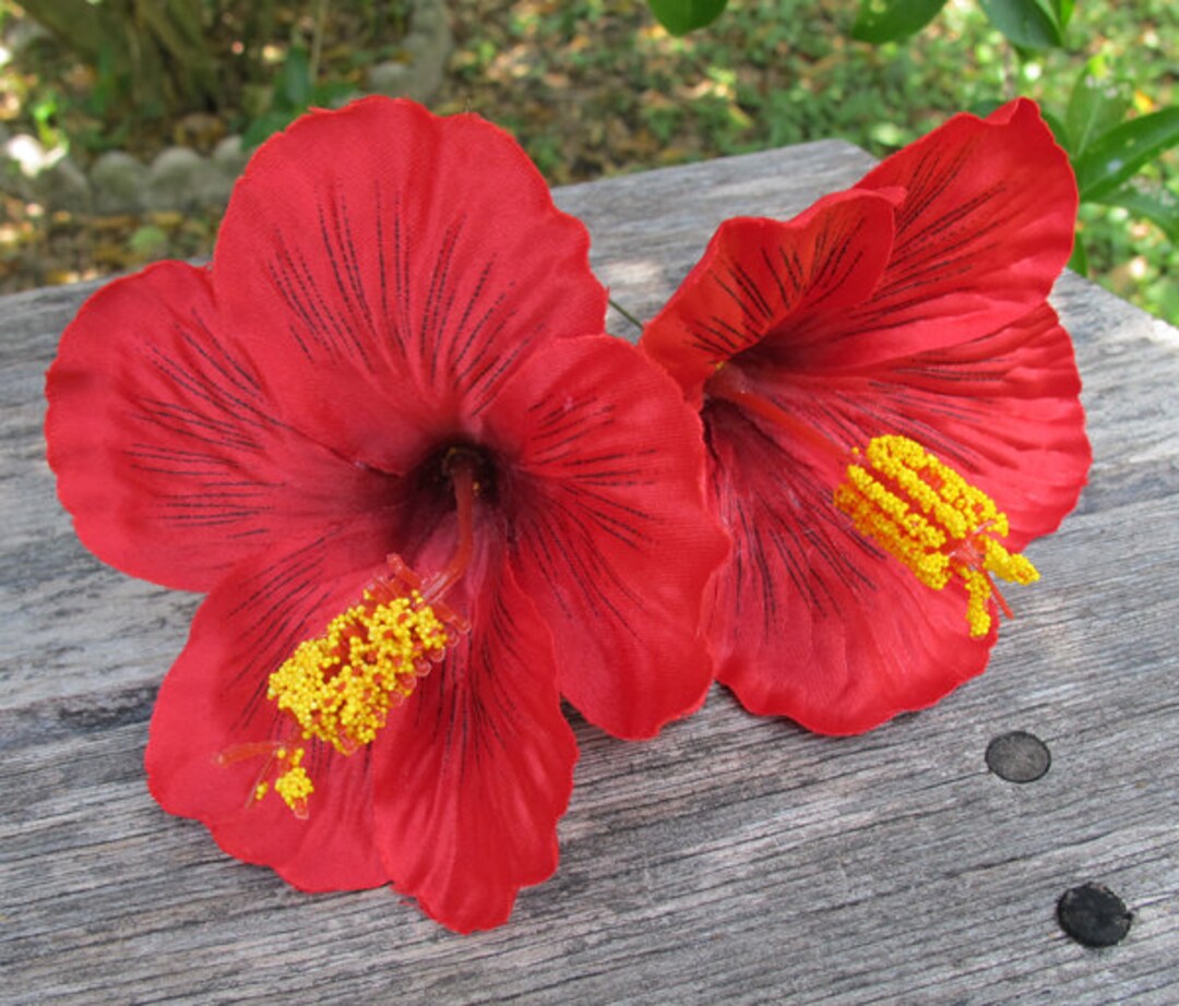 Tropical Hawaiian RED Hibiscus Set of 2 Hair Pin Flowers ,weddings ...