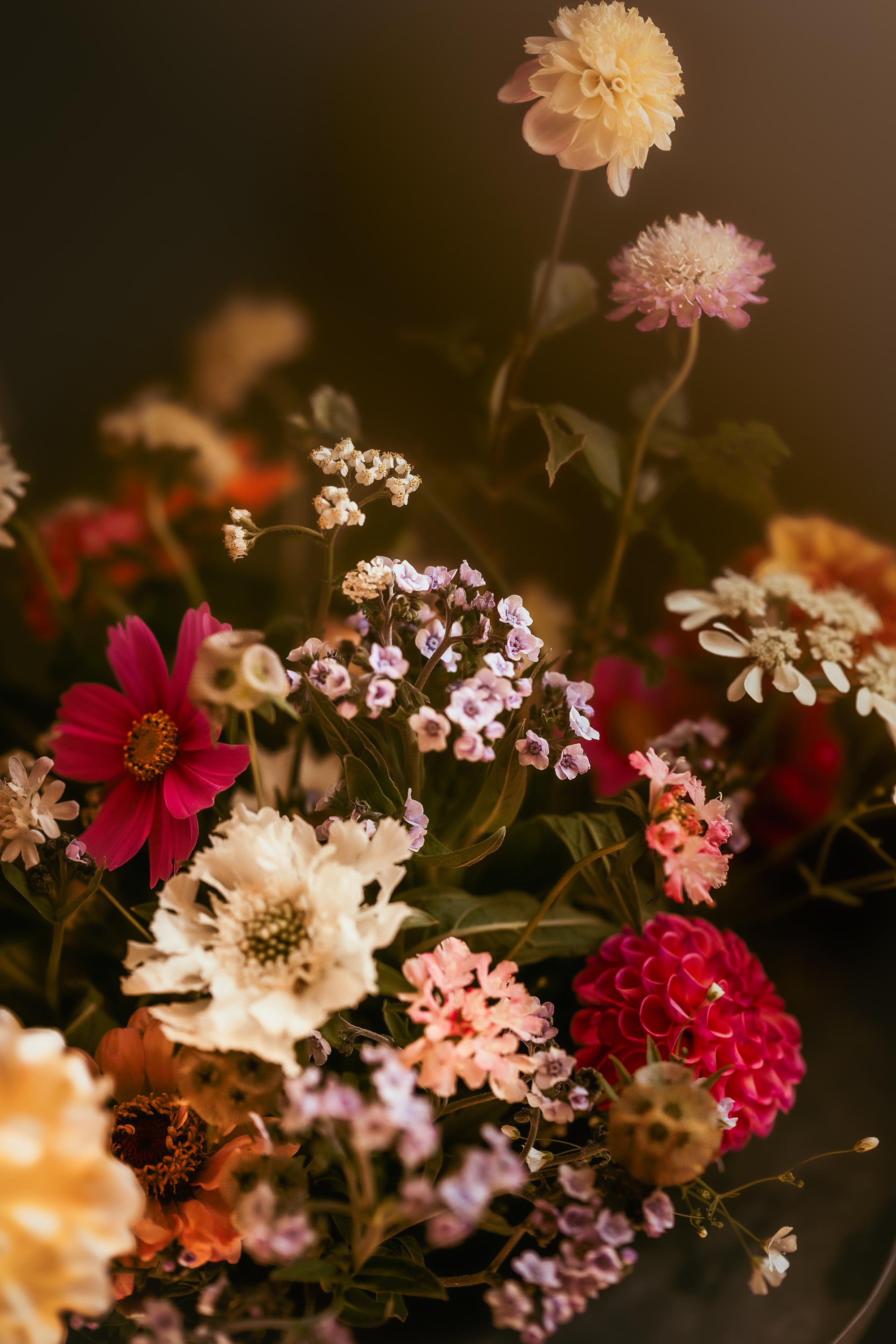 Original Floral Fine Art Photography - Instant Digital Download ...