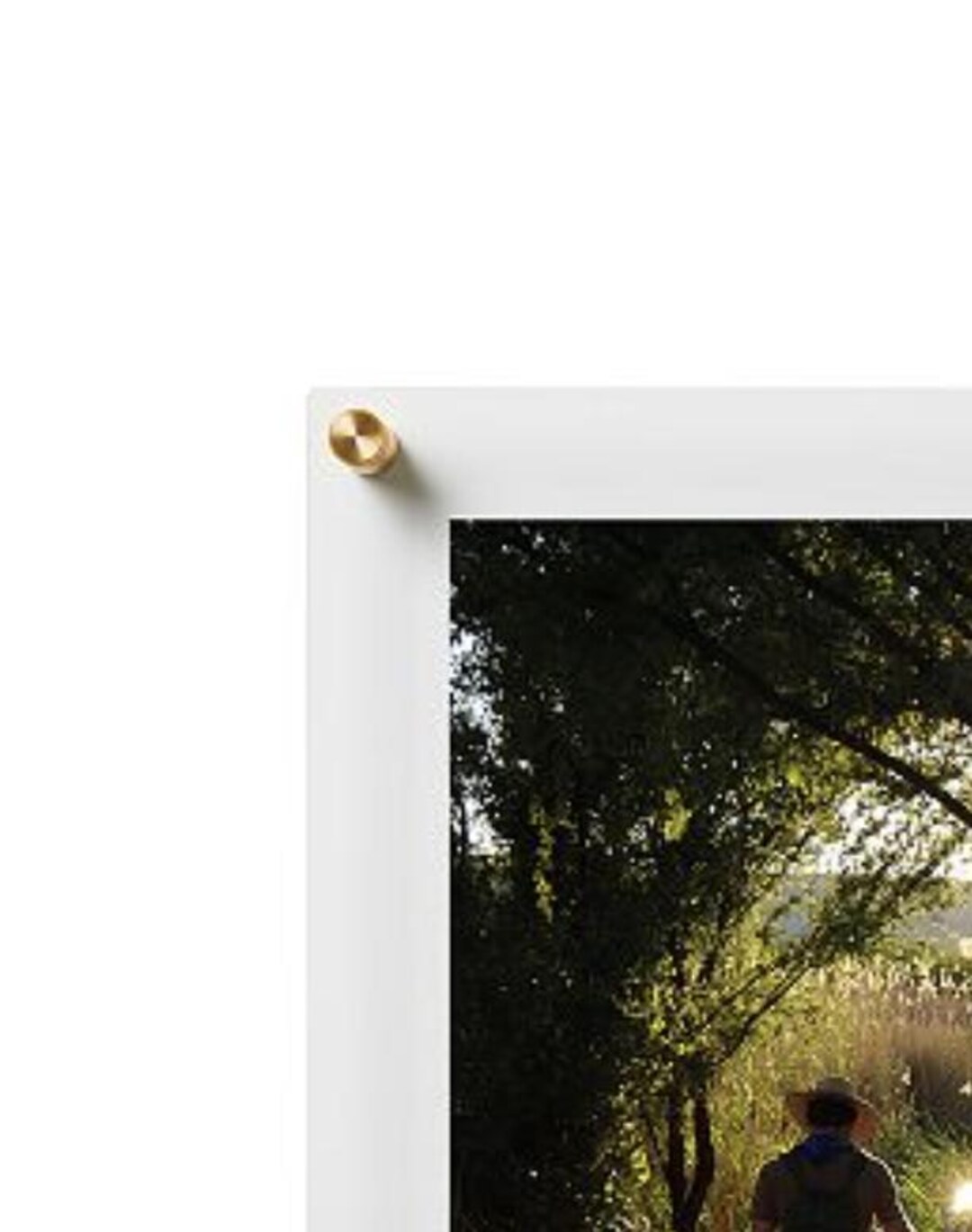 Floating Frame Peg, Metal Hanging Peg Standoff - Floating Acrylic Frame ...