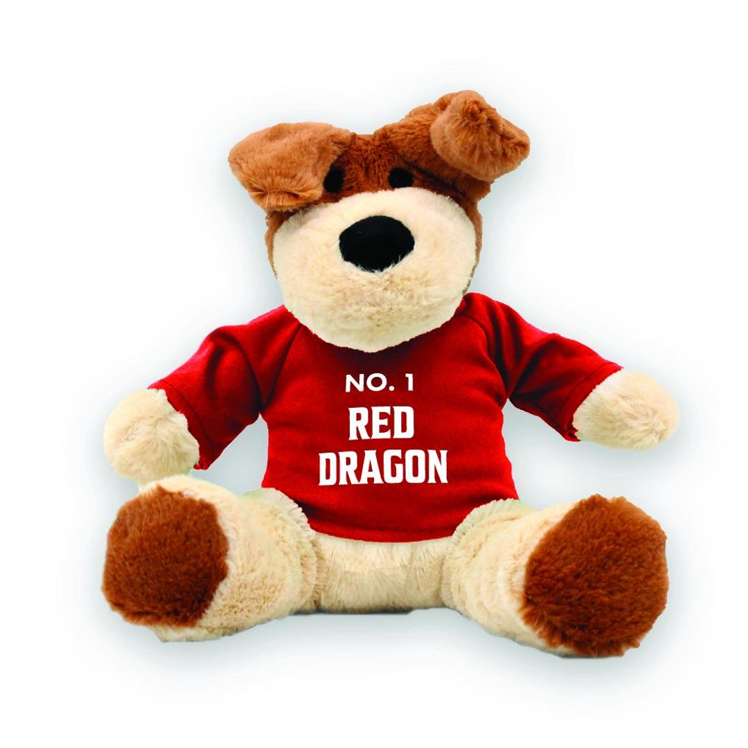 No.1 Red Dragon Fan Teddy Bear, Red Dragon Football Bear, Perfect Gift ...