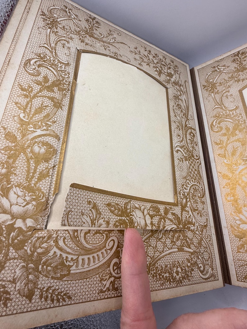Antique Velvet Photo Album: Victorian Celluloid Floral Design - Etsy