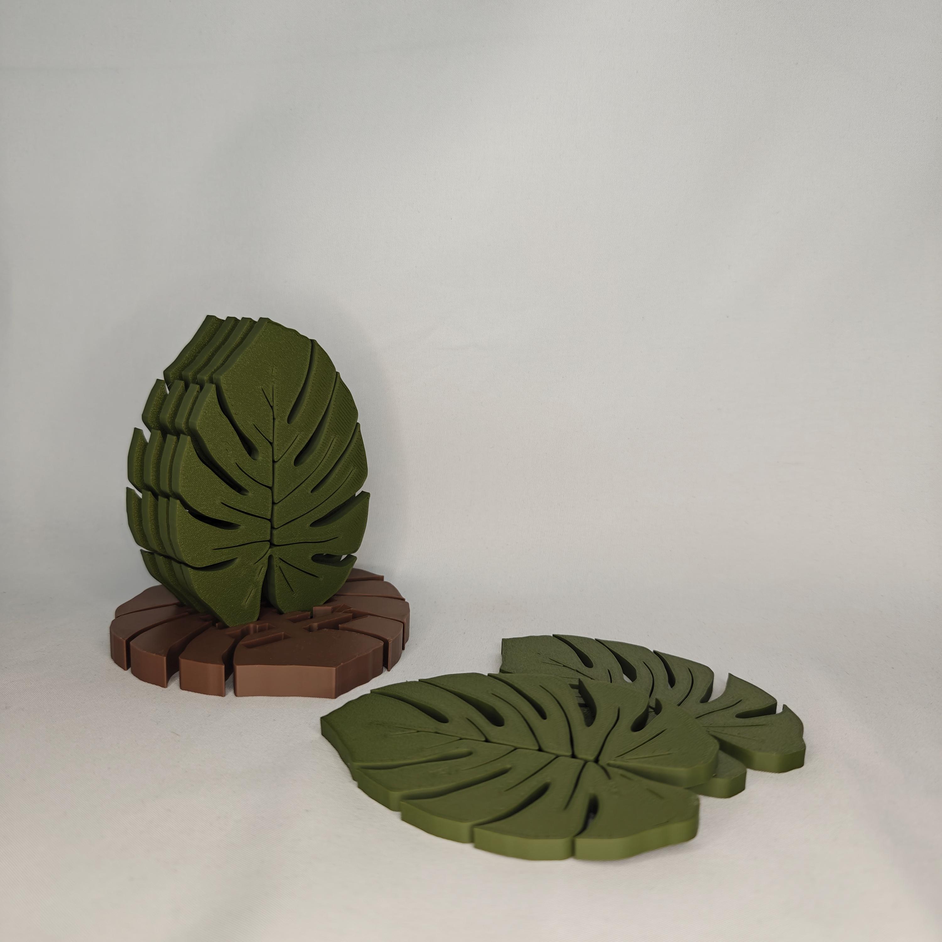 Monstera Leaf Coaster Set | Jungle-inspired Eco-friendly Table Decor - Etsy