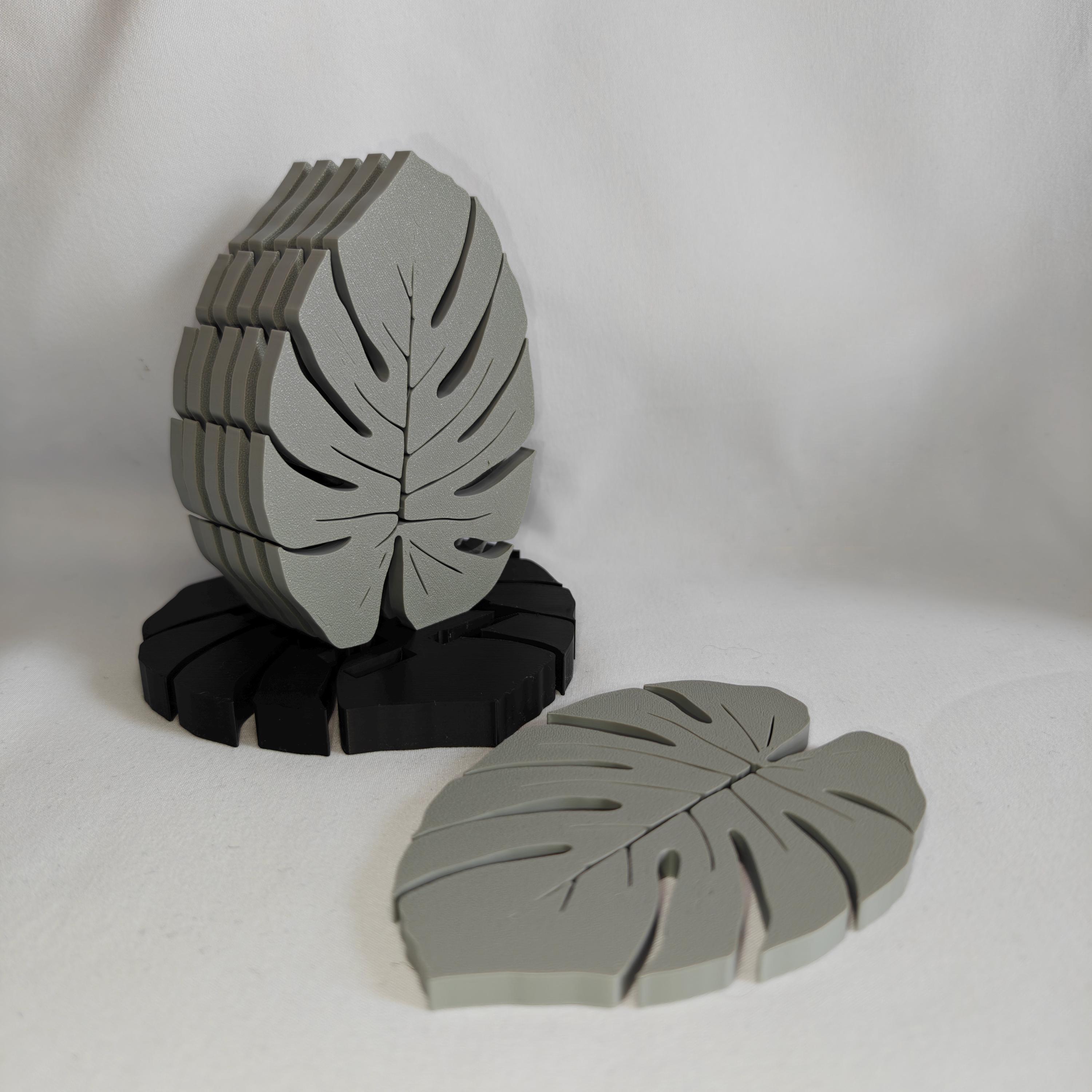 Monstera Leaf Coaster Set | Jungle-inspired Eco-friendly Table Decor - Etsy