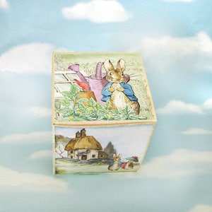 Large 4 Peter Rabbit Box / 4x4x4 Cube / PDF YOU - Etsy