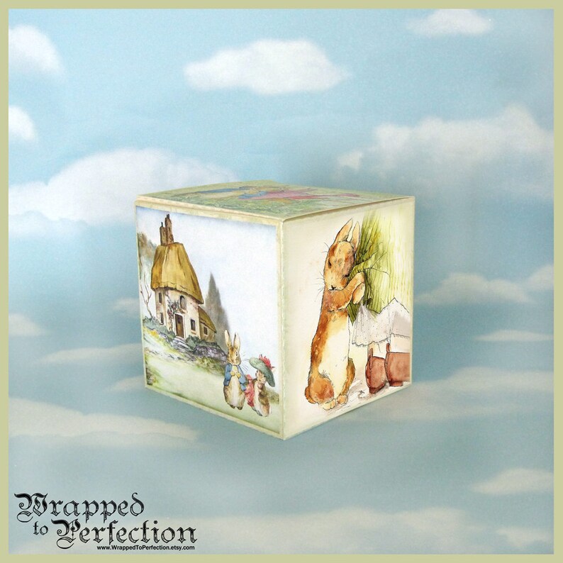Large 4 Peter Rabbit Box / 4x4x4 Cube / PDF YOU | Etsy