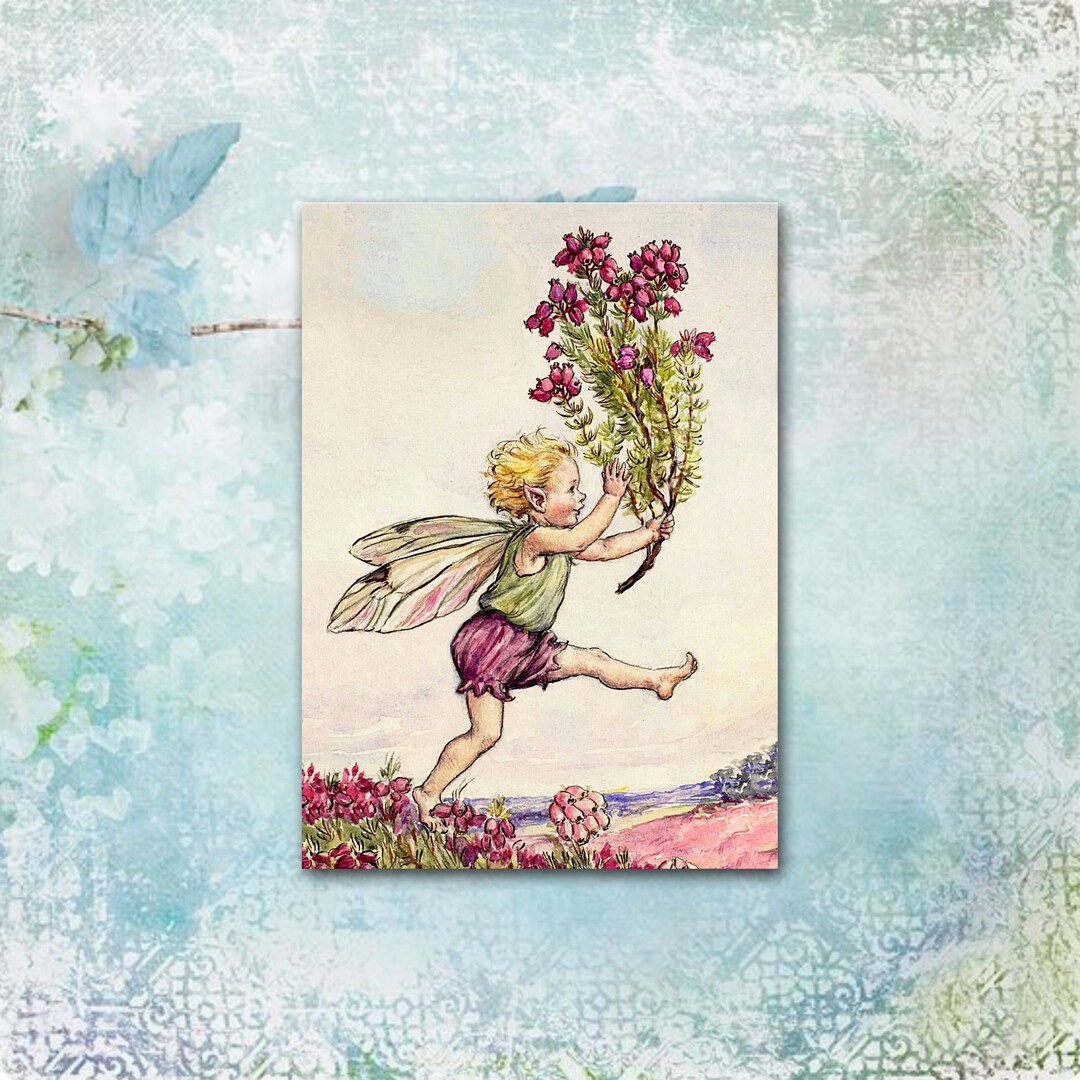 Scottish Birthday Card: Heather Pixie Fairy Art by Cicely Mary Barker ...