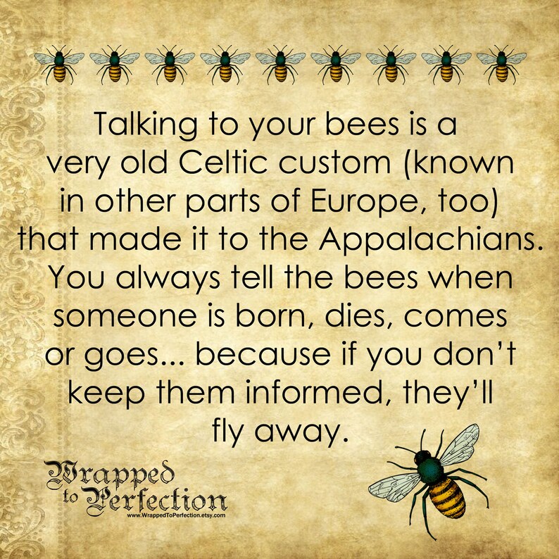 Bee Note Cards / Tell the Bees I'm Gone - Etsy