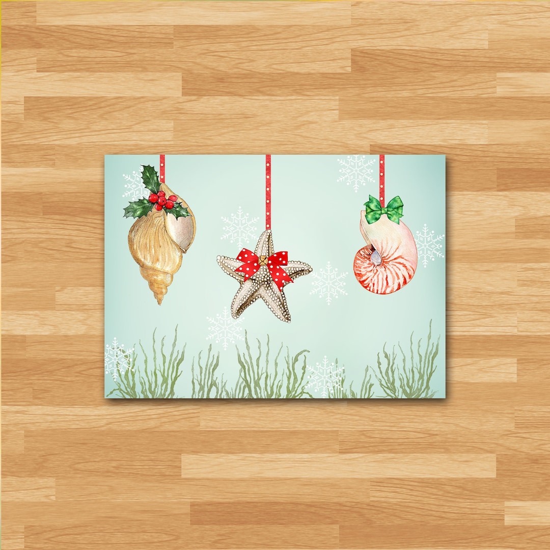 Tropical Christmas Card, 5x7, Sea Shells, Beach, Ocean, Island, Holiday ...