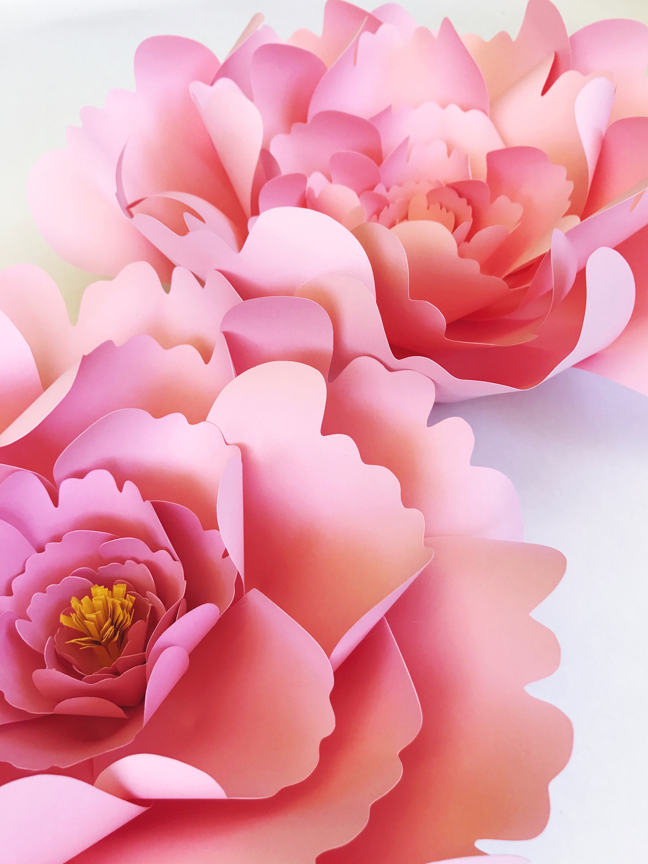 Large Peony Paper Flower Template DIY Instant Download Etsy