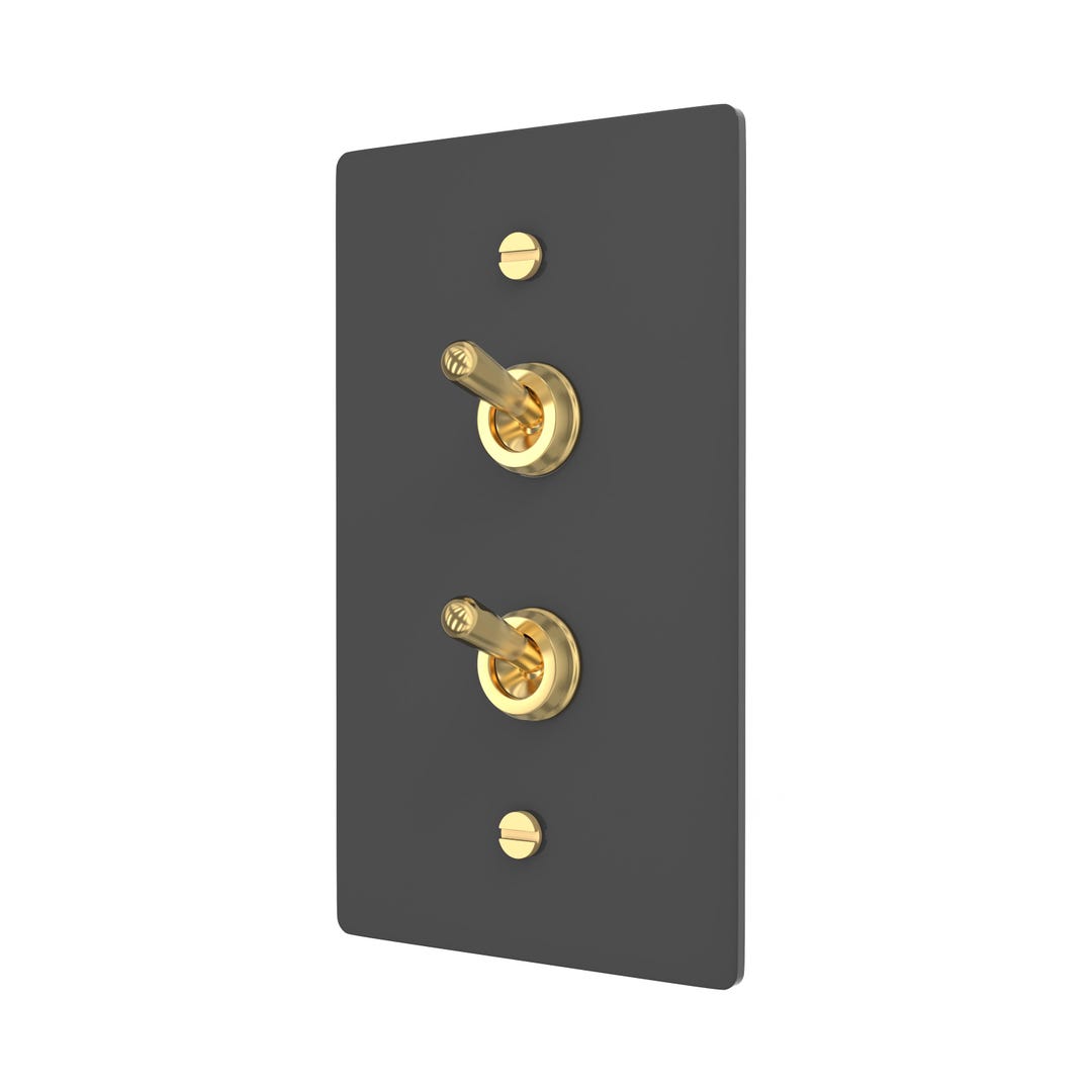 Black Double Toggle Switch - Etsy