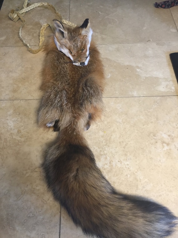 Red fox bag native american made | Etsy