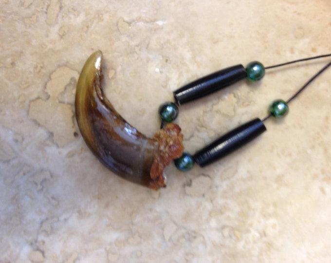 REAL Grizzly Bear Claw Necklace Native American Made Claw - Etsy