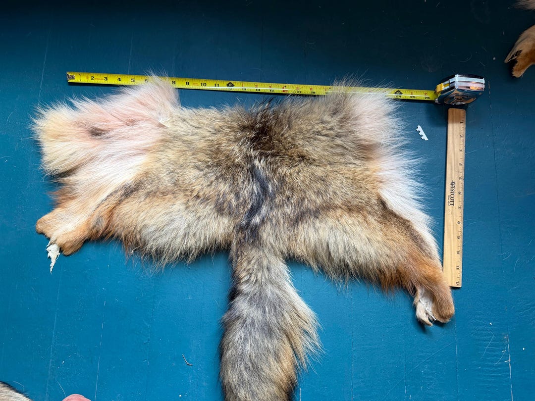 Coyote Fur Scrap Upcycled Recycled Fur - Etsy