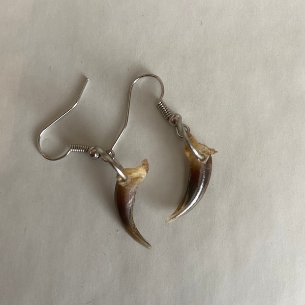 Fox Claw - Etsy