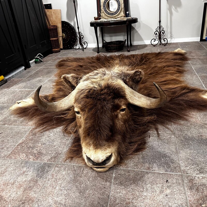 CraftyCrawfordArt - Etsy