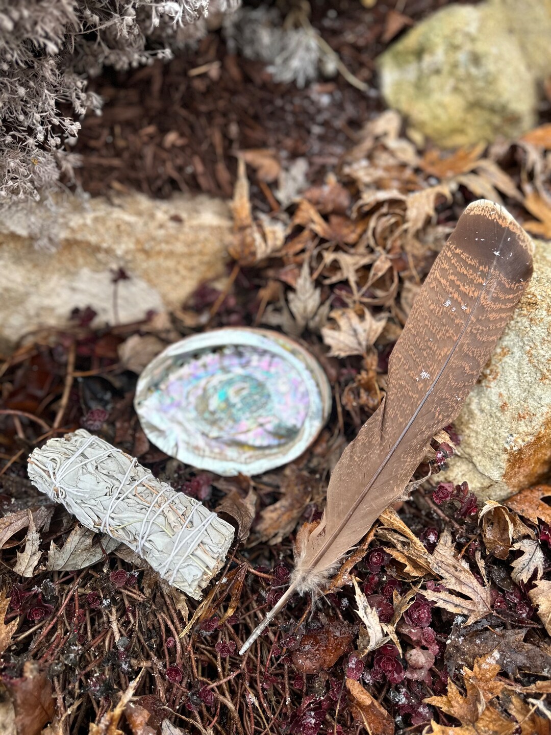 Smudge Kit Native American Made Plains Native Style Small Shell - Etsy