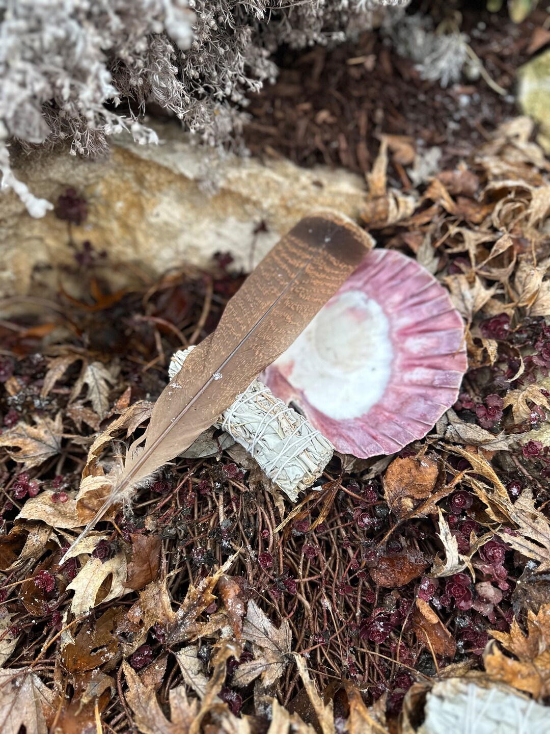 Smudge Kit Native American Made Woodland Native Style Small Shell - Etsy