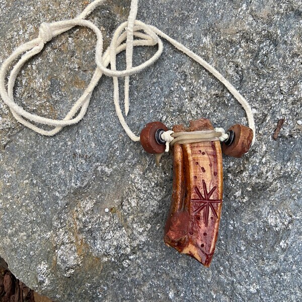 Fossil Horse Tooth - Etsy