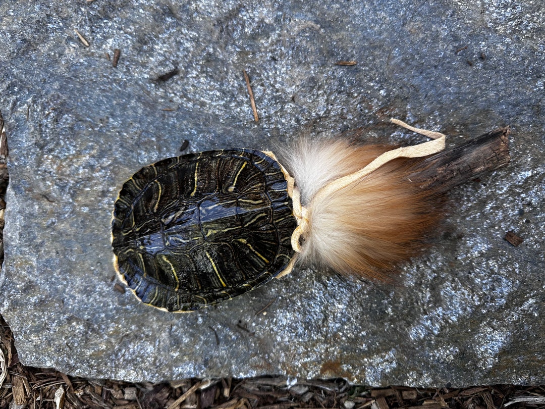 Native American Turtle Rattle With Fox Fur - Etsy