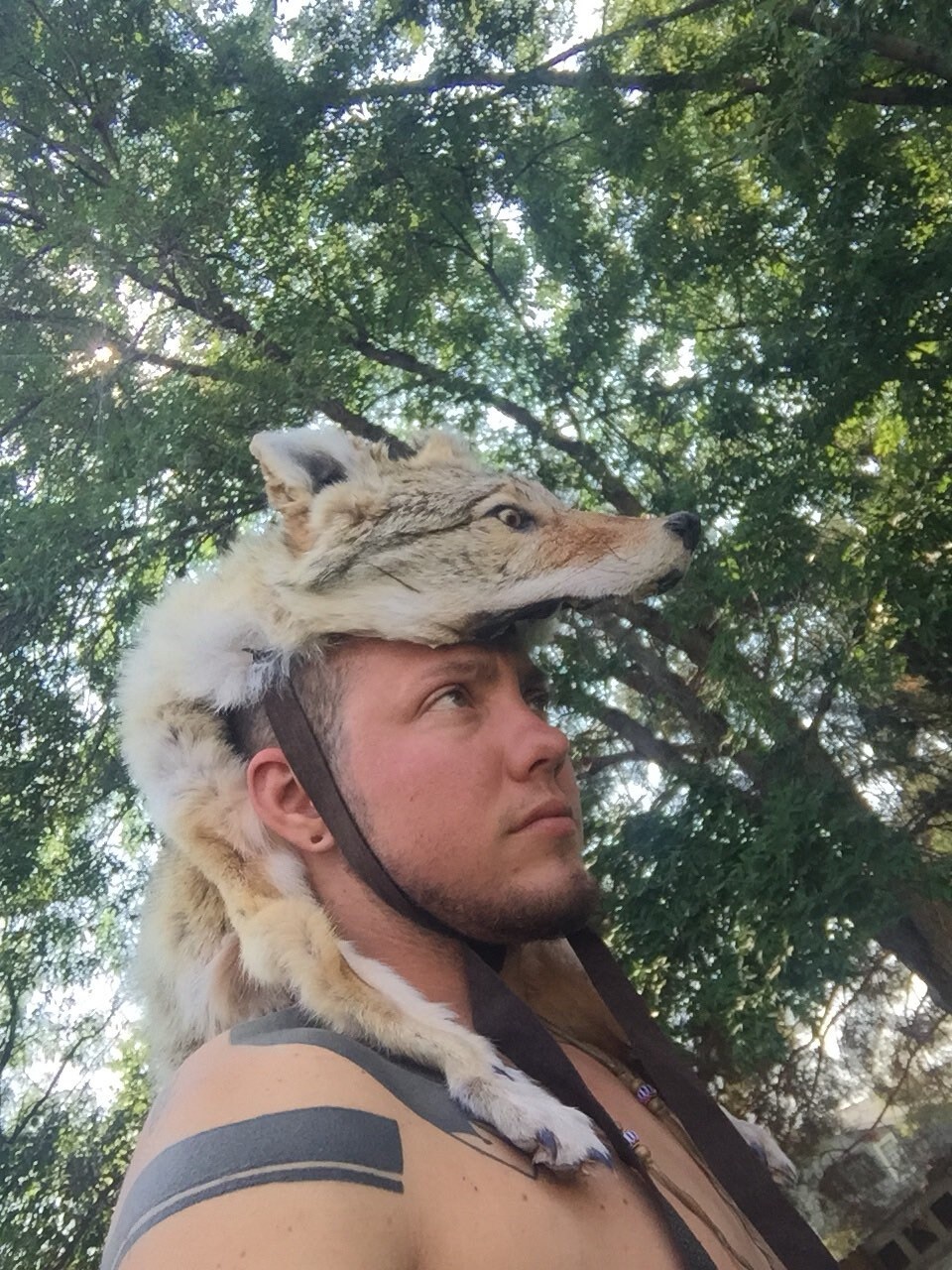 Mounted head Coyote skin headdress w feet Native american Made | Etsy